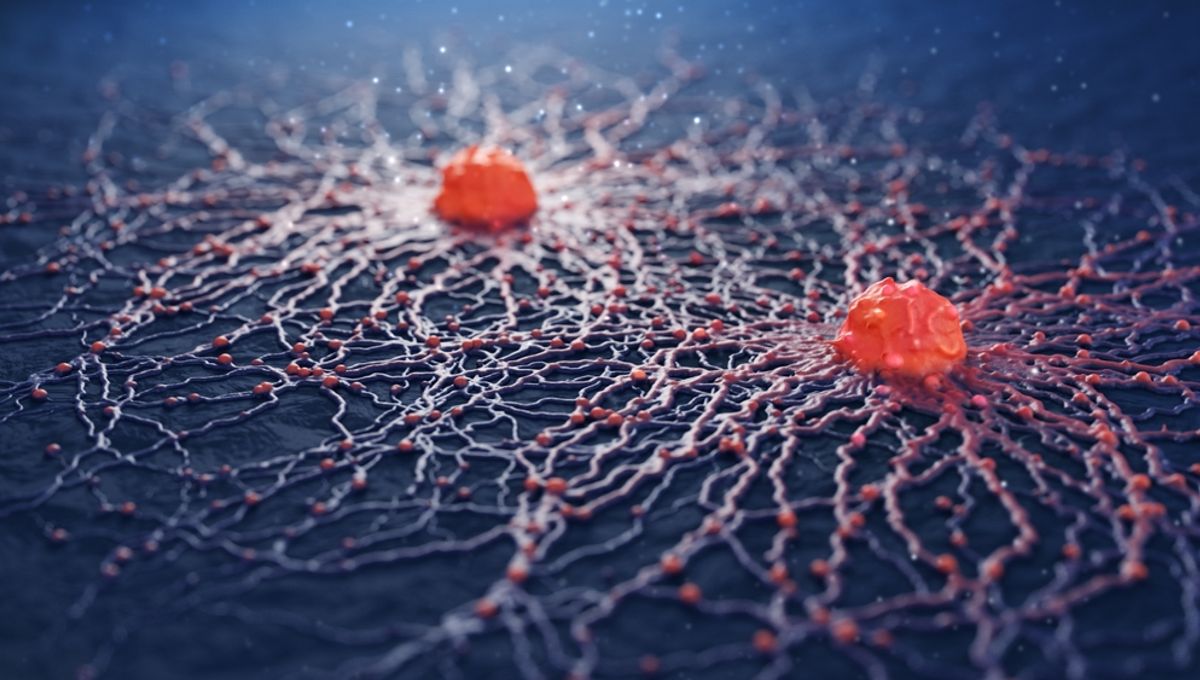 Brain Tumors Are Cognitive Parasites How Brain Cancer Hijacks Neural