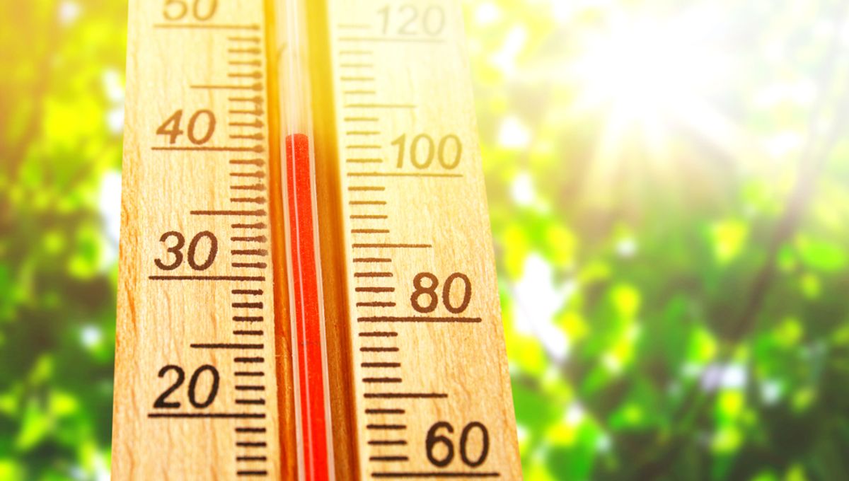 Southern US Reaches Dangerous Wet Bulb Temperature Here s What That