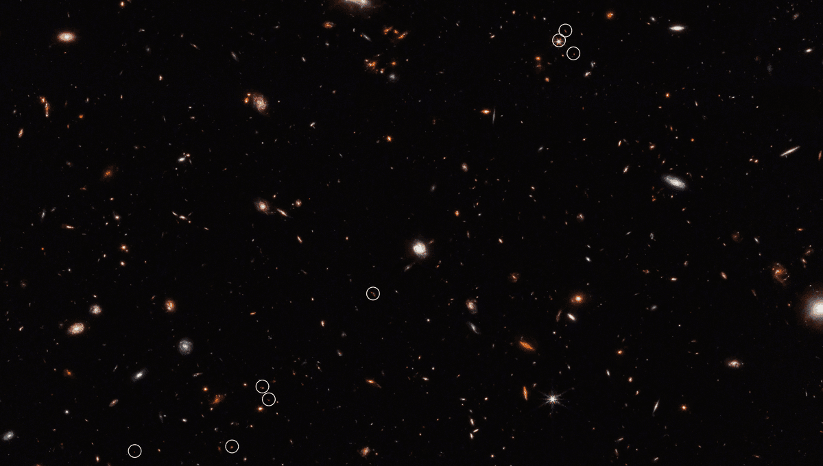 Strand Of The Cosmic Web Spotted By JWST Is Earliest Ever Found ...
