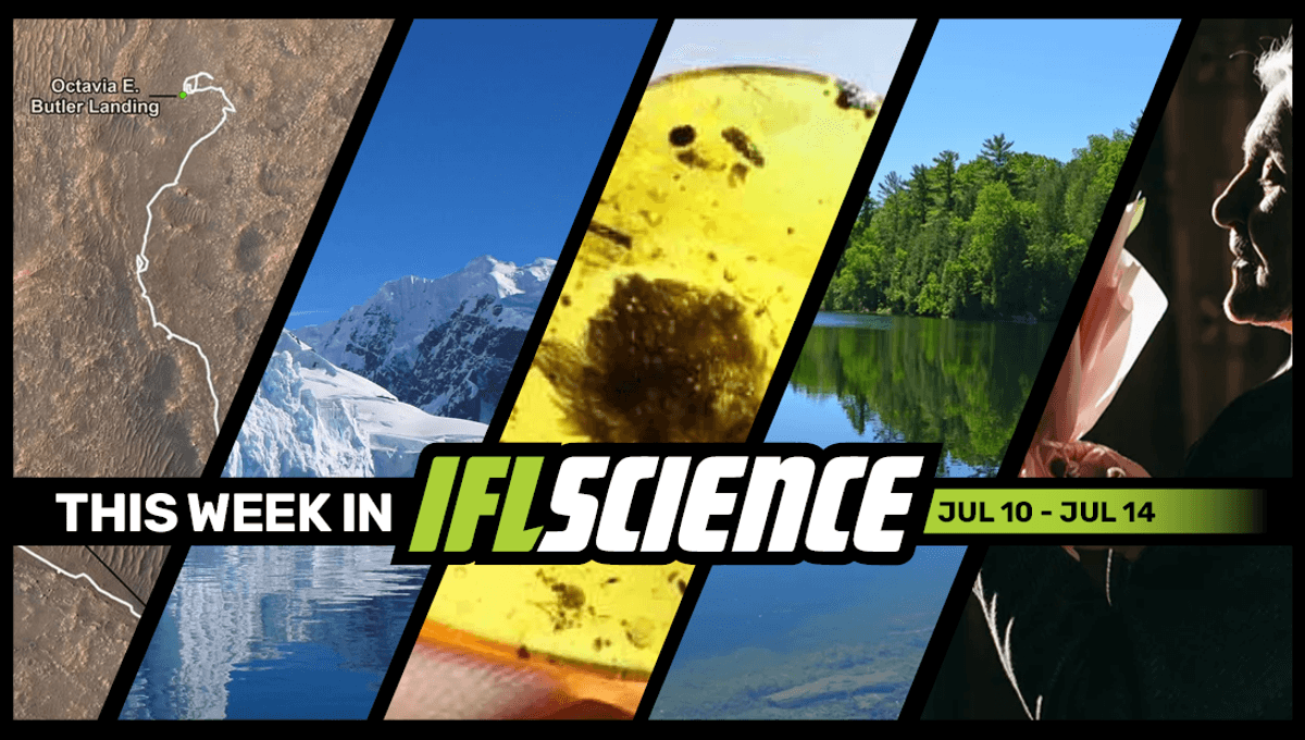 Twis Further Evidence Of Building Blocks Of Life Found On Mars World