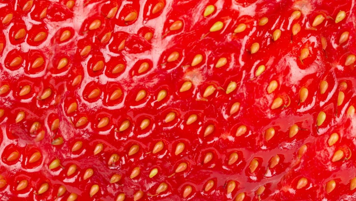 White Dots on Strawberries Are Not Strawberry Seeds | IFLScience