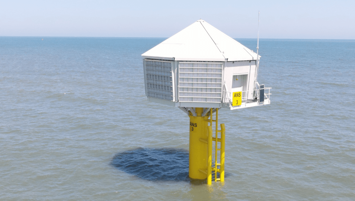 Offshore Wind Turbines Get Giant Bird Boxes To Protect Rare Gulls ...
