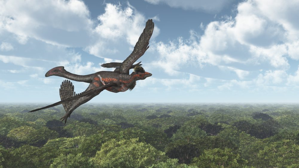 Microraptor Was A Four-Winged Dinosaur That Probably Should've Stopped ...