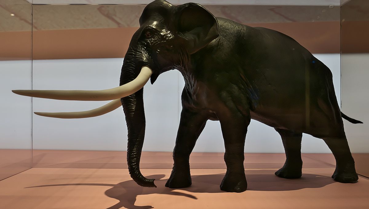 How Neanderthals Managed To Take Down Giant Elephants 125,000 Years Ago ...