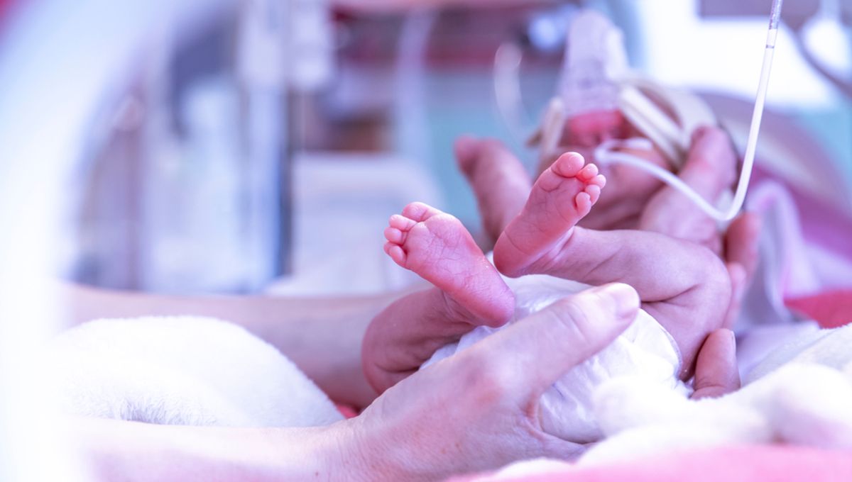 Brain Dead Woman Gives Birth To Live Baby - How Is This Possible ...