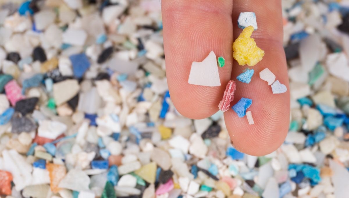 How Microplastics In The Brain Could Have The Power To Change Our ...