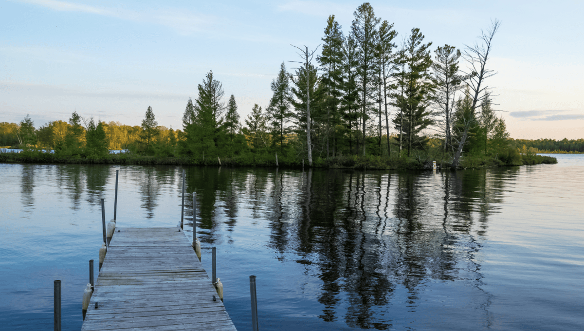A Floating Bog Island Blocks A Bridge In Chippewa, So Locals Move It ...