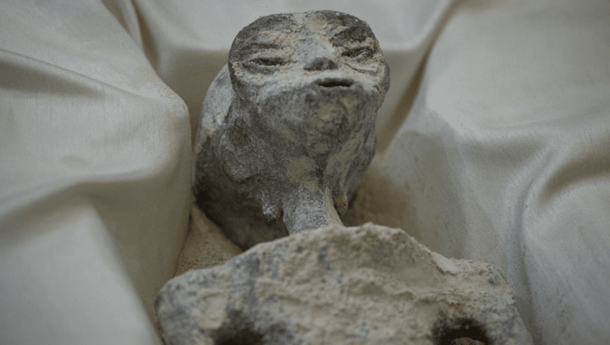 Old Video From 2021 Explains Exactly What The "Mummified Aliens" Are ...