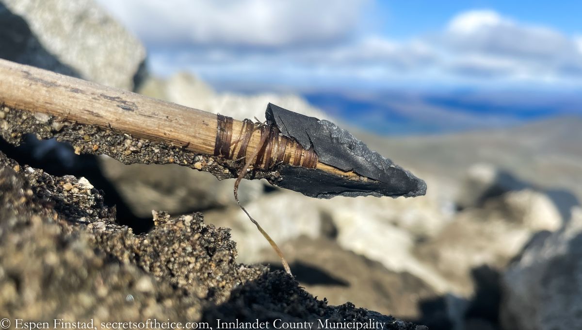 3000 year old arrow with hafted quartzite head recovered from ice ...