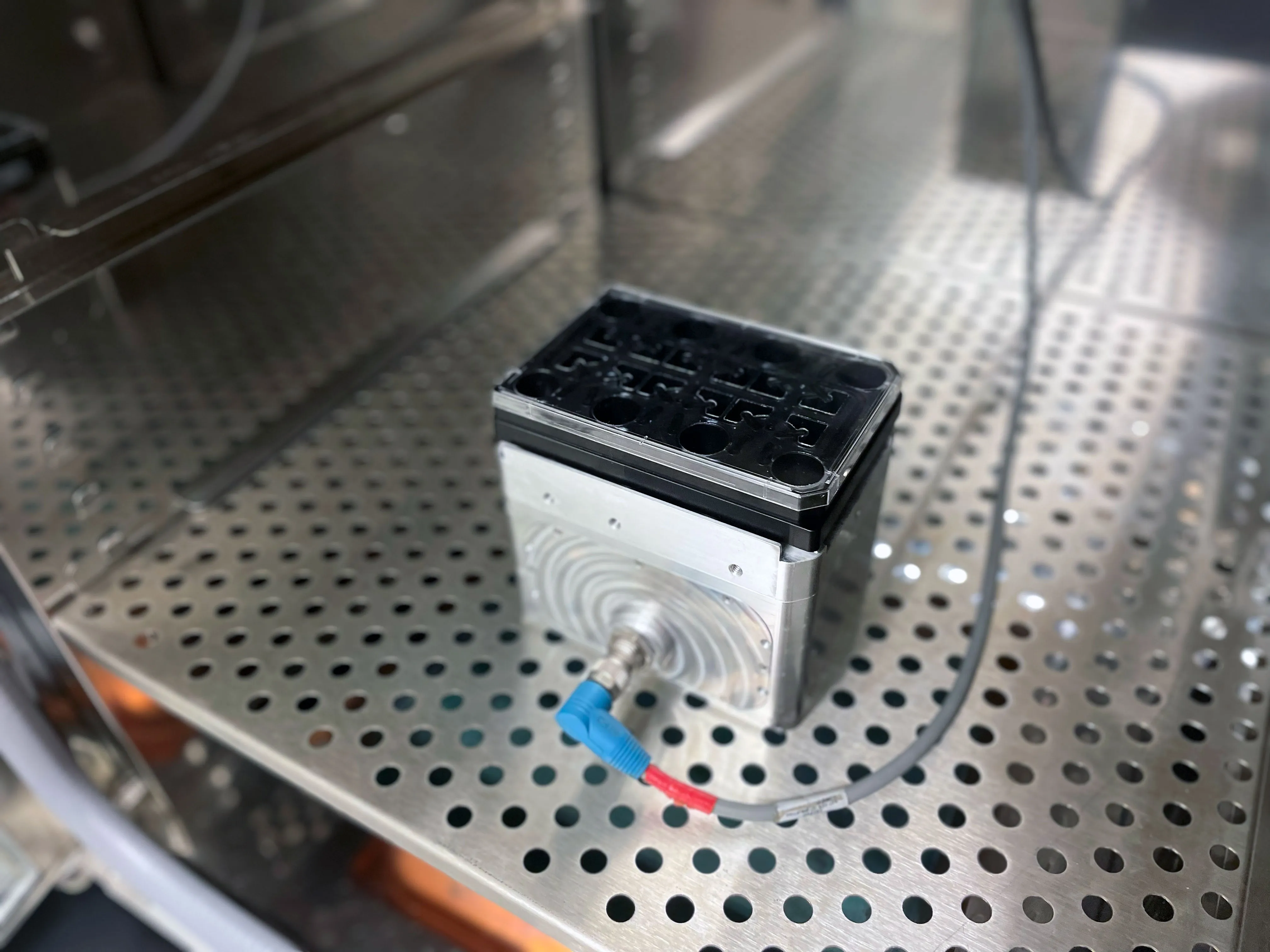 Meet Lattice, The "Choose Your Own Adventure" Human Disease Simulator ...