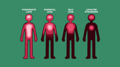 Where Inside Us Do We Feel Love? | IFLScience