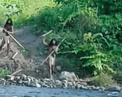 "Shocking" Footage Shows Uncontacted Tribe Confront A Bulldozer Near ...