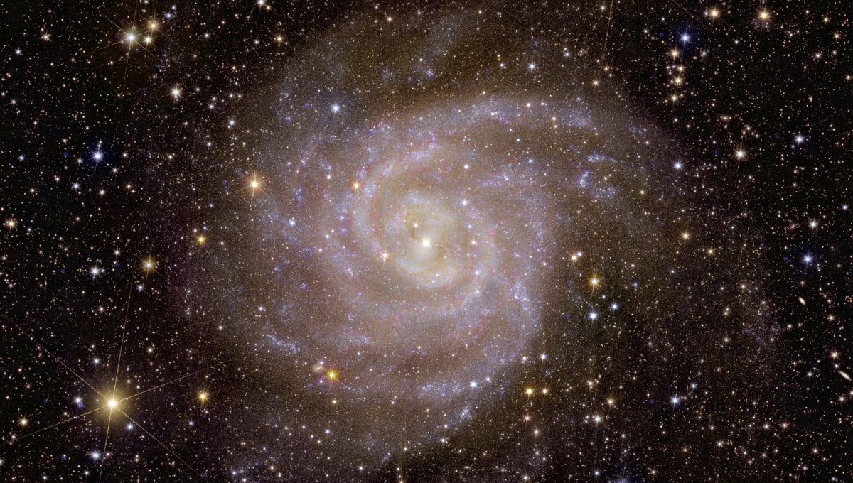 Euclid Reveals Astonishing First Full-Color Glimpse Of The Dark ...