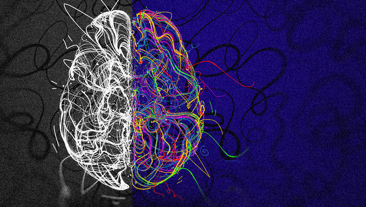 Is There A Difference Between The Male And Female Brain? | IFLScience