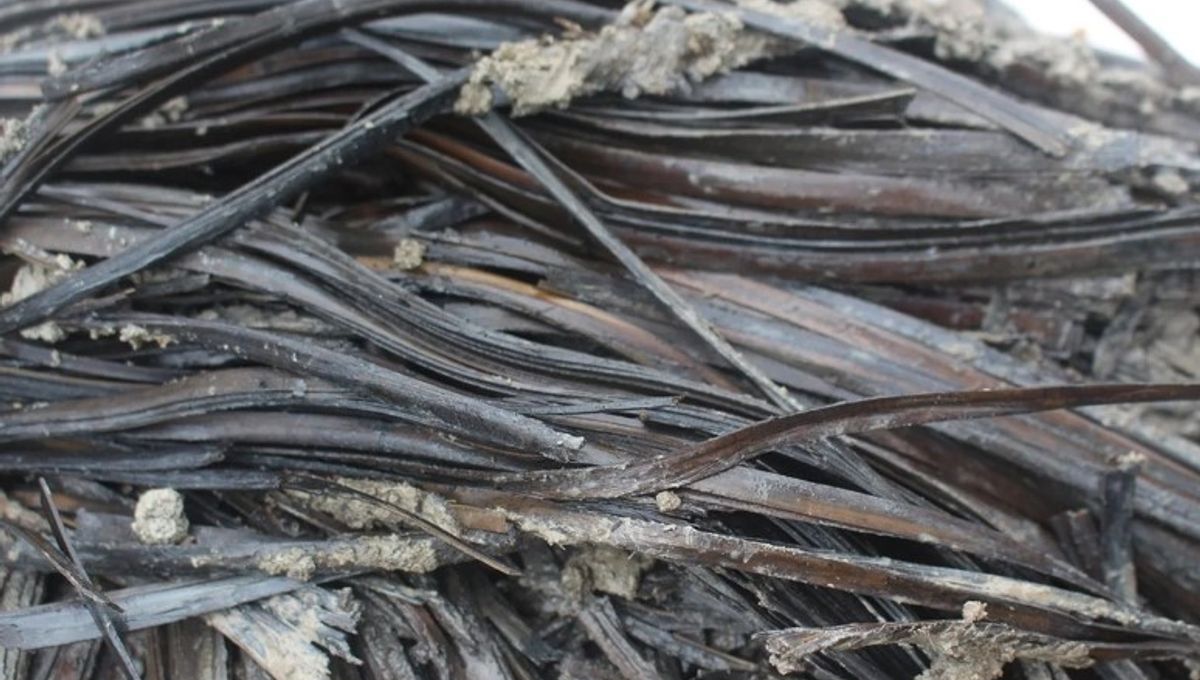 Rare Ancient Multiplication Tables Found In 2,300-Year-Old Chinese Tomb ...