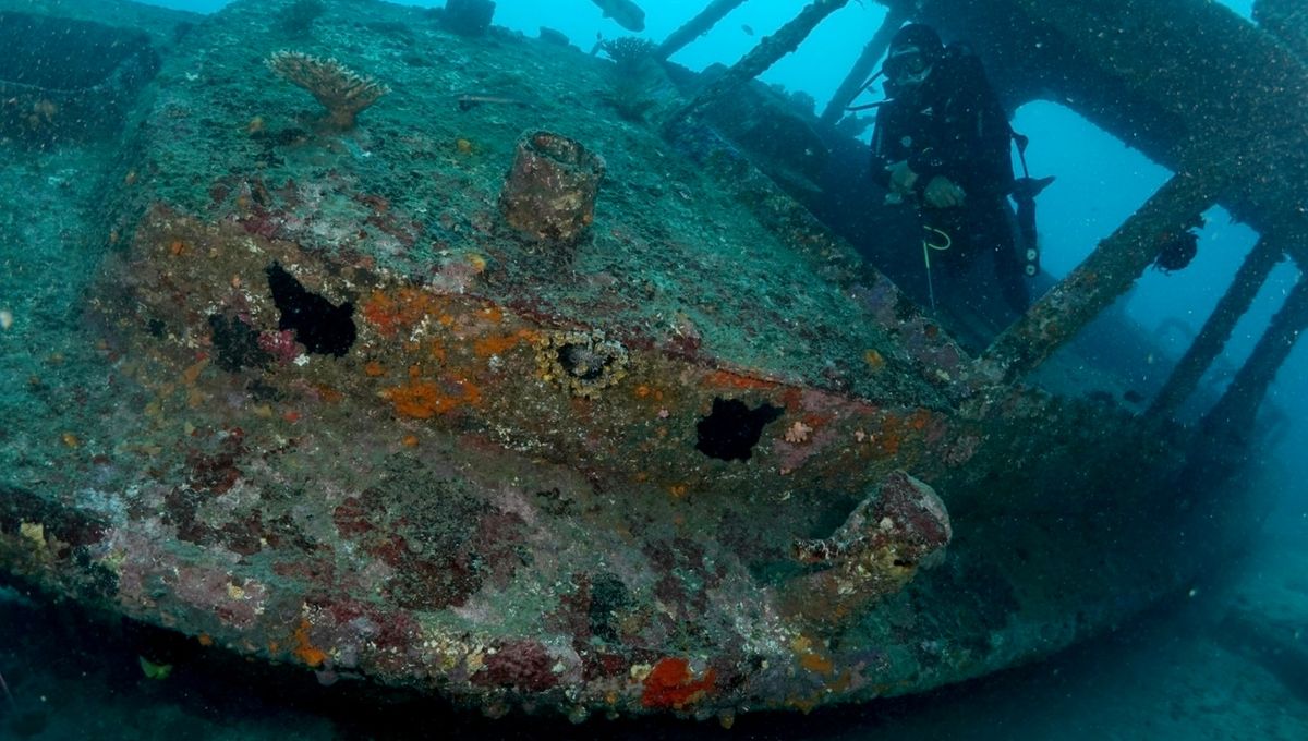 152-year Old Ship Wreck Found By Father And 4-Year Old Daughter Duo ...