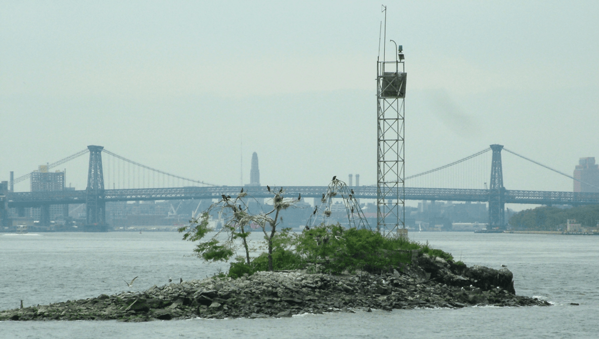 U Thant Island: Why Nobody Can Visit New York's Smallest Island ...