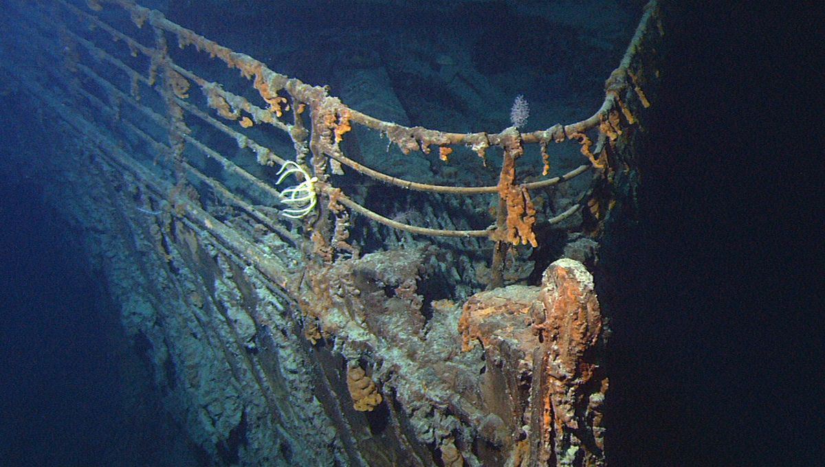 Why Human Remains Have Never Been Found Inside The Titanic Shipwreck ...