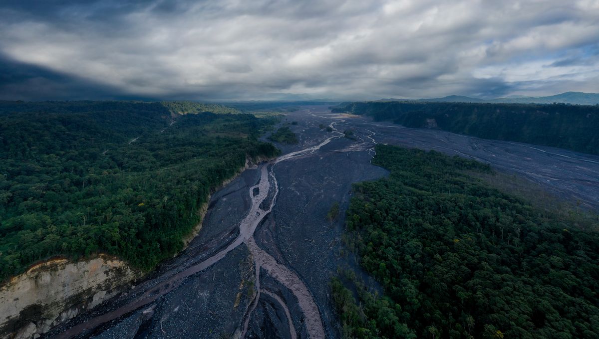2,500-Year-Old Long-Lost Metropolis Found In The Amazon Jungle | IFLScience
