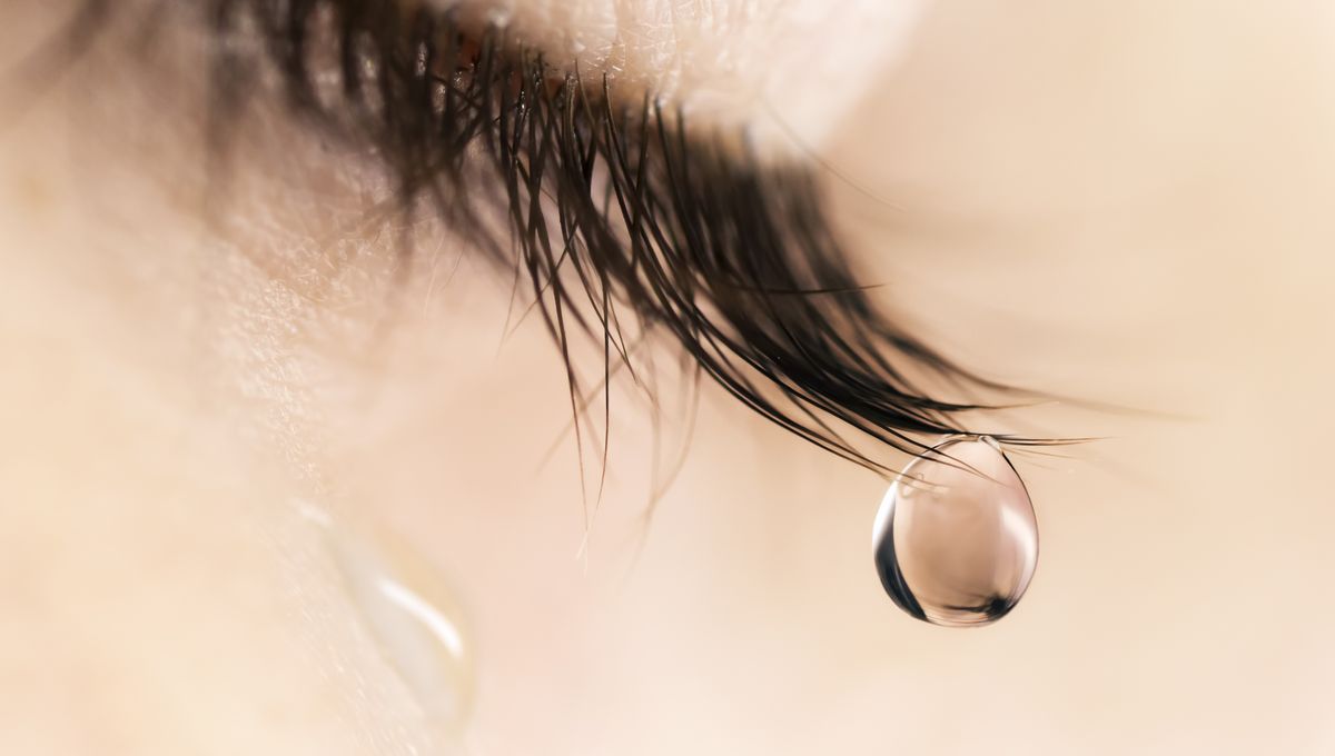 First Model Eye Membrane Makes Human "Tears In A Dish" And Reveals ...