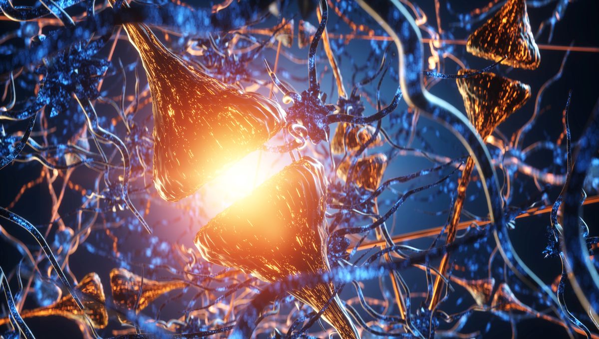 Why Some Memories Are So Hard To Forget (And Why That Can Be A Problem ...