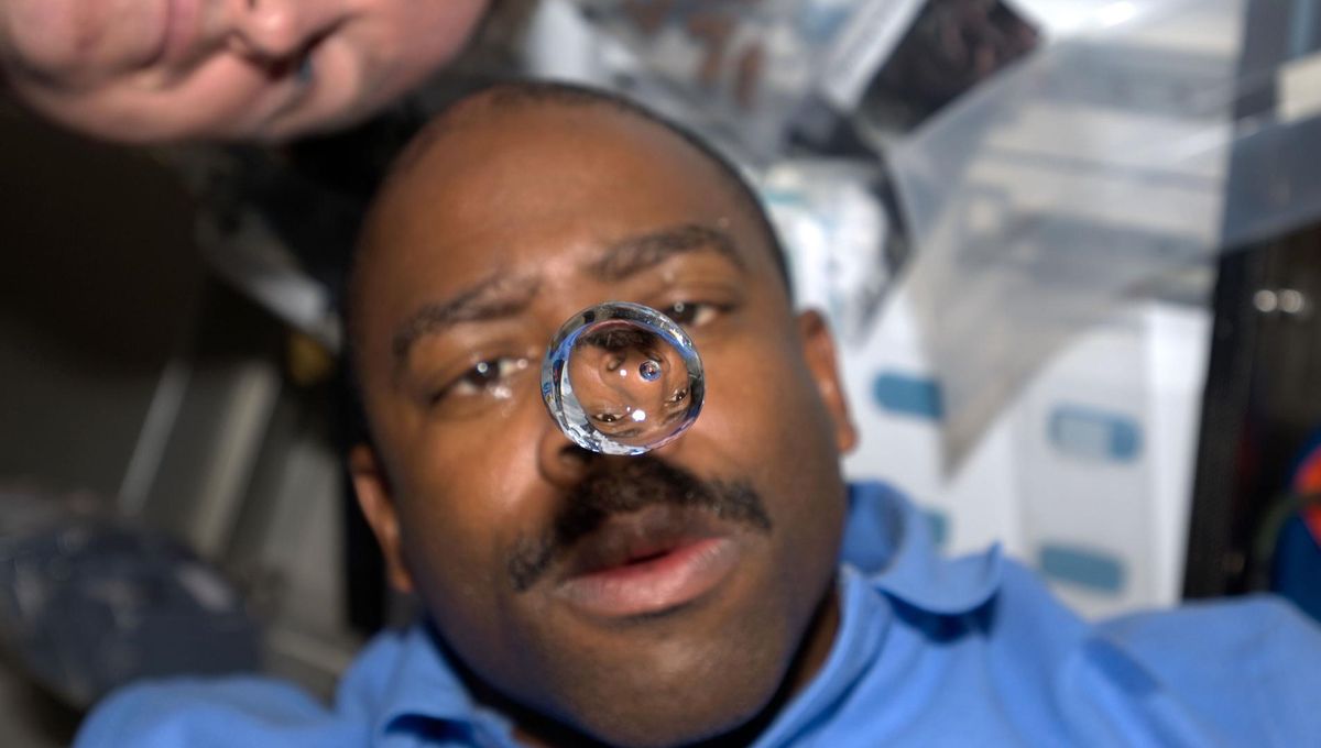 Why There Is No Such Thing As Zero Gravity | IFLScience