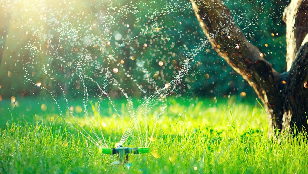 Feynman’s Reversed Sprinkler Puzzle Finally Has A Solution | IFLScience