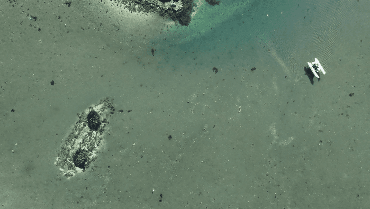 Robot Reveals Story Of A 600-Year-Old Medieval Shipwreck In Norway ...