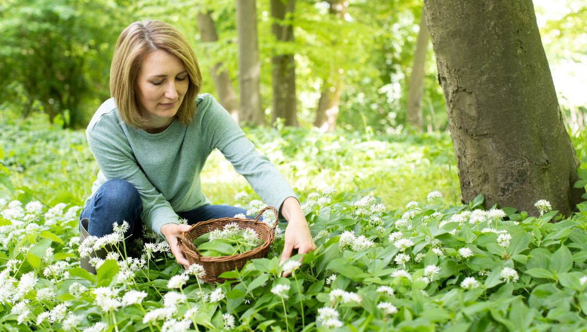 Can Foraging Benefit Our Health And Wellbeing? Here’s All You Need To ...