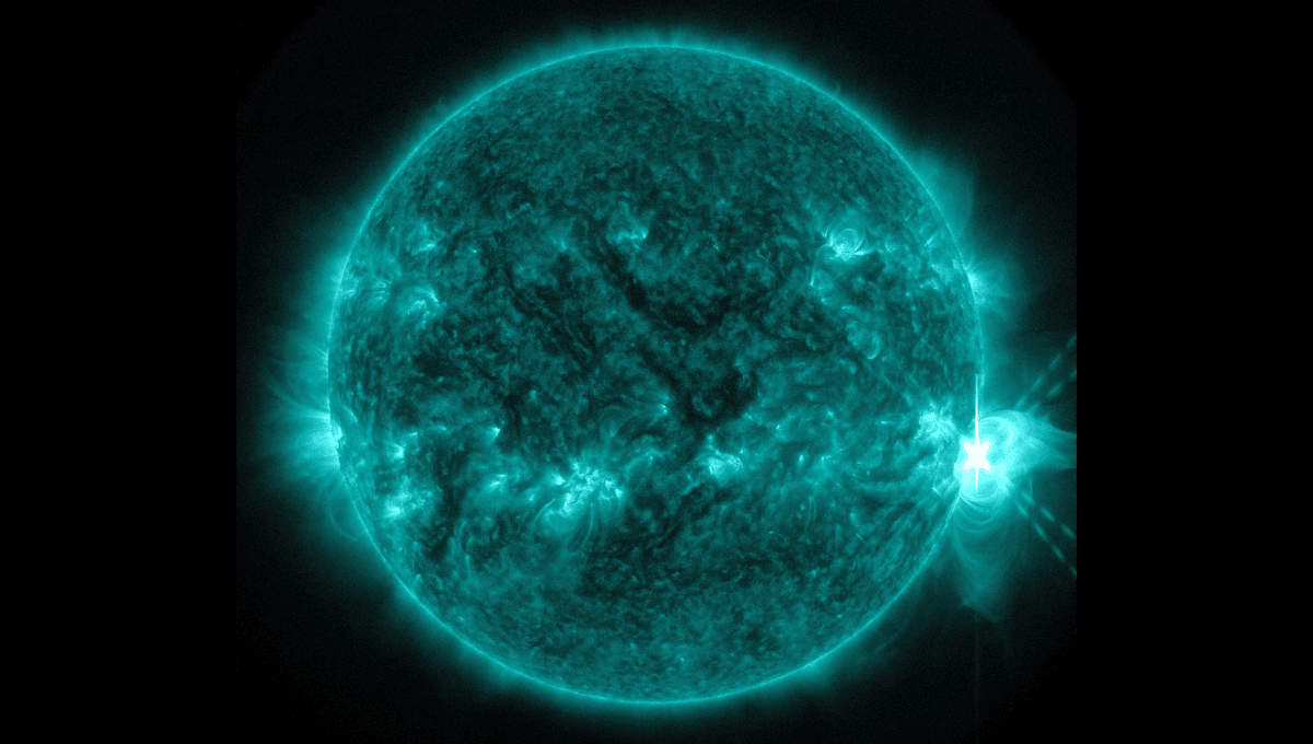 Whate Are X Flares And Should We Be Worried? | IFLScience