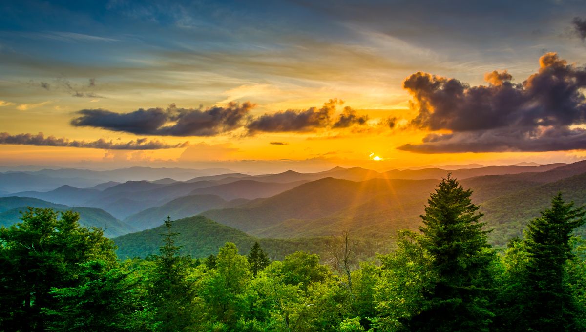 Enormous Reforestation Has Buffered The Eastern US Against Climate ...