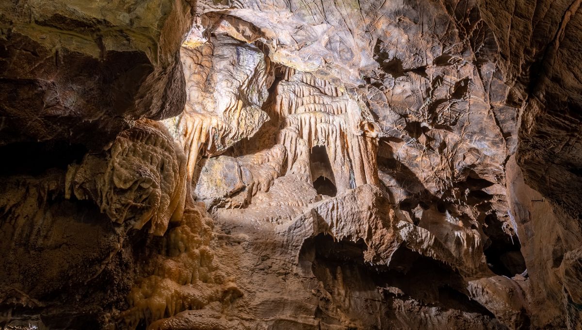 The Secrets Of Gough’s Cave: Cannibalism And Ancient Rituals From ...