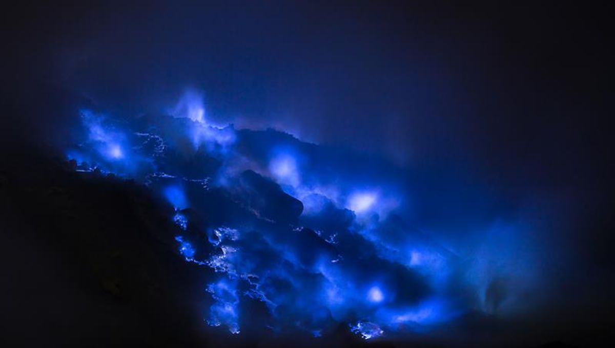 What is Devil’s Gold And Why Is It So Dangerous? | IFLScience