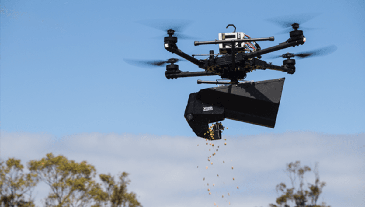Drones Are Coming To Save Endangered Species | IFLScience