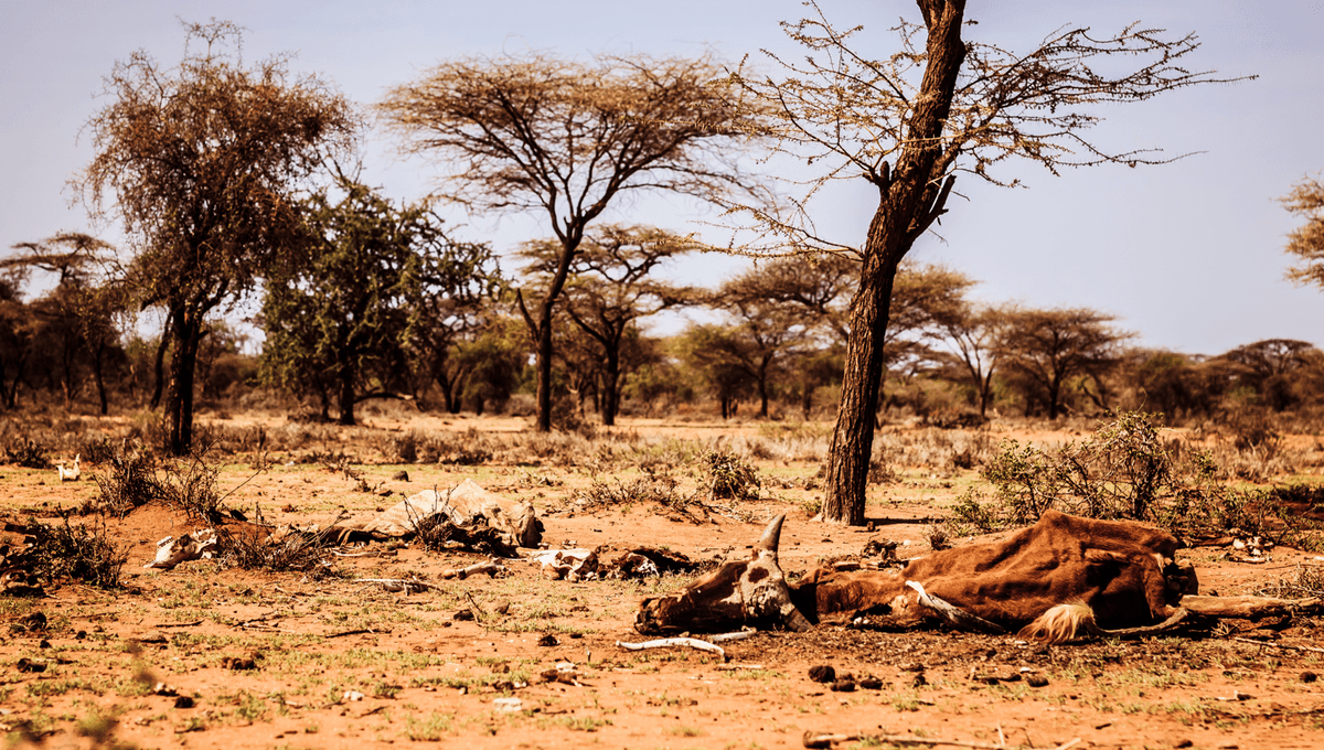 An Alarming Number Of Climate Change Records Were Smashed In 2023 ...