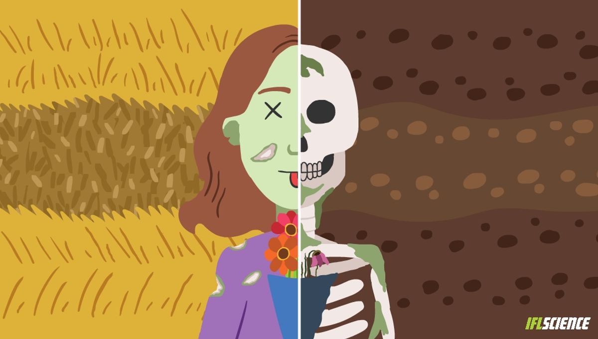 Turning A Human Corpse Into Black Gold: The Greenest Way To Go ...