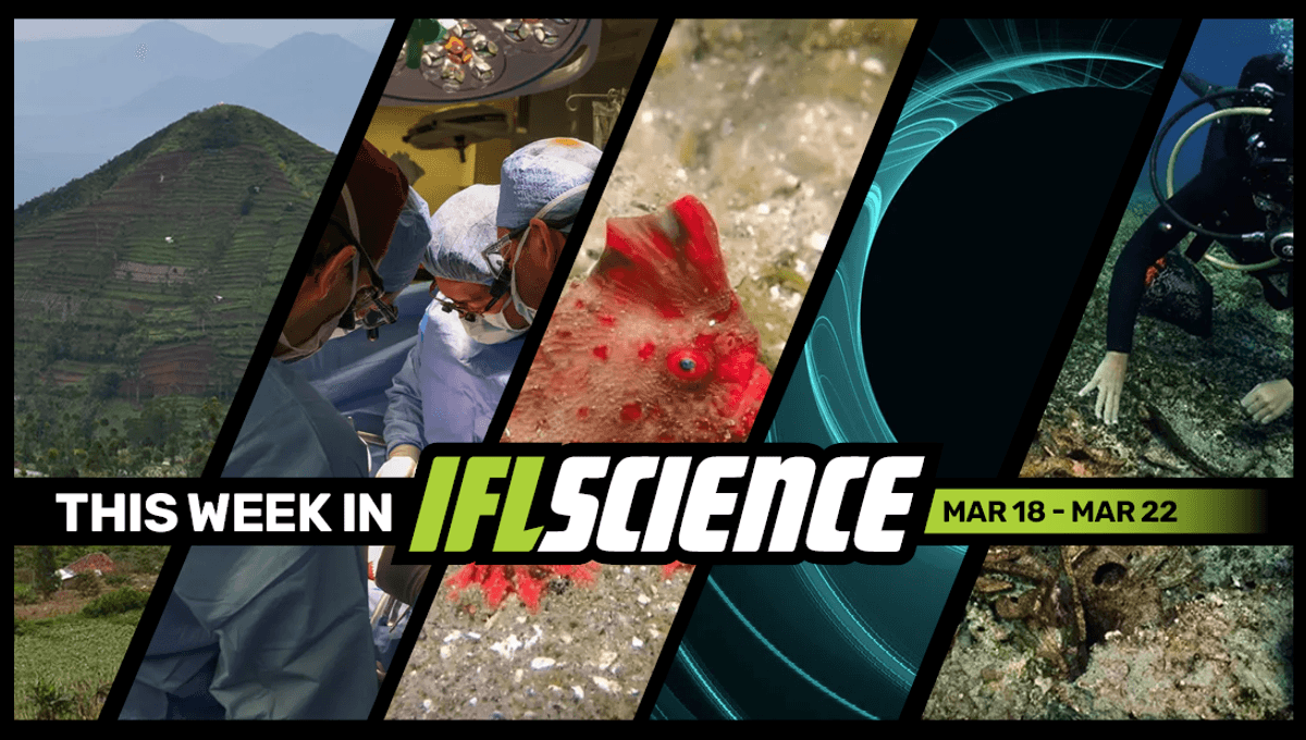 25,000-Year-Old "Pyramid" Not Built By Humans After All, Archaeologists ...