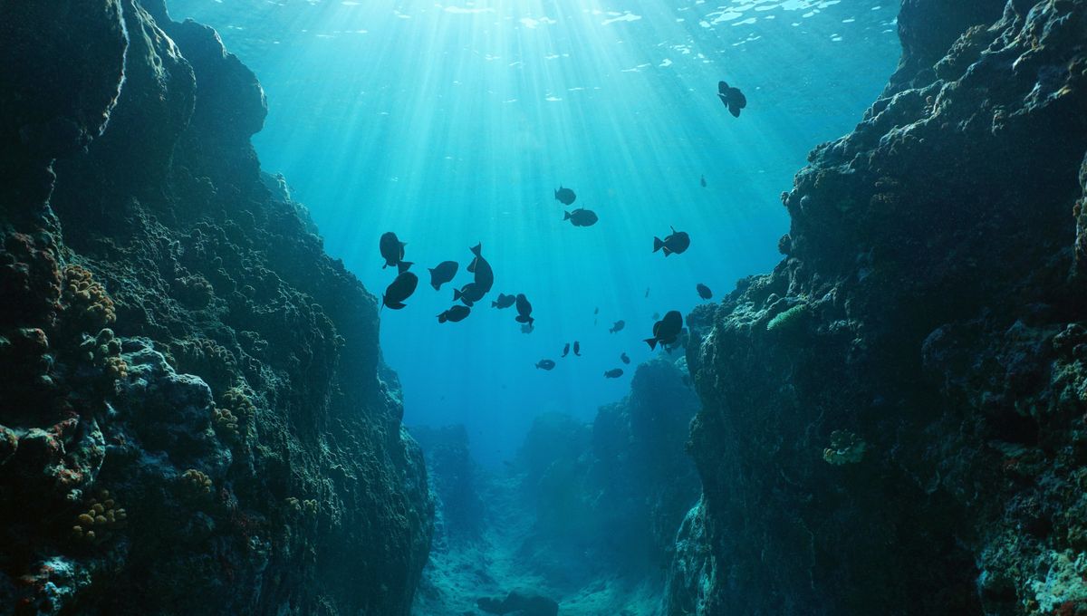 What’s The Deepest Part Of The Ocean? | IFLScience