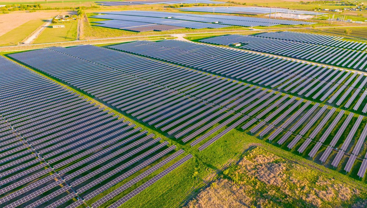 Solar Power Beat Coal In Texas Over A Whole Month For First Time ...