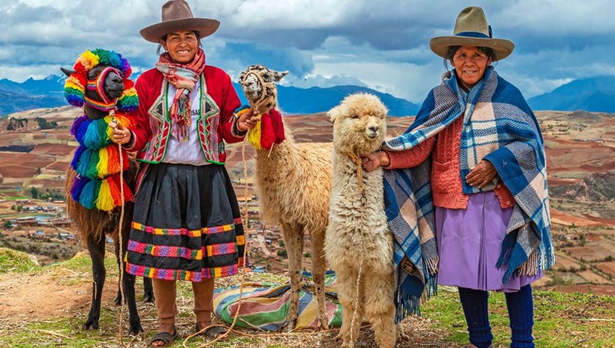 These Are The Plants That Traditional Incan Communities Use For ...