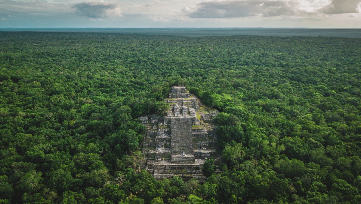 Who Were The Maya Snake Kings? | IFLScience
