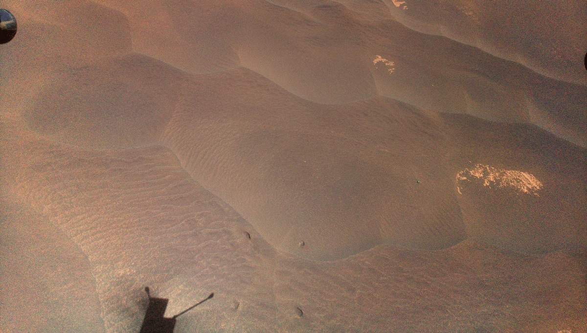 NASA's Ingenuity Team Receives Final Message, But The Mars Helicopter ...