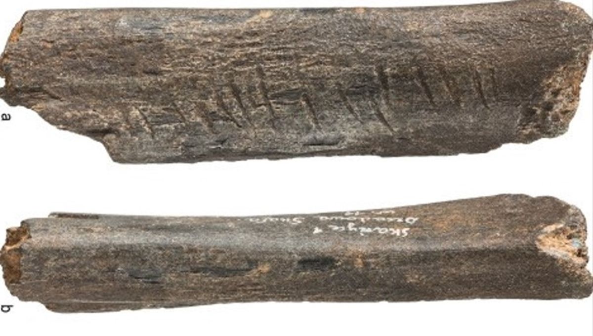 Engraved Bone Of Prehistoric Bear Is The Oldest Example Of Neanderthal ...