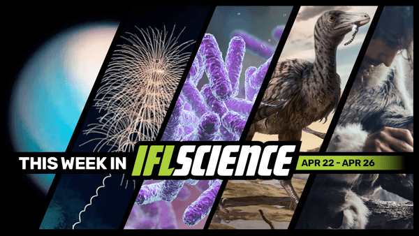 Humans News, Articles | IFLScience