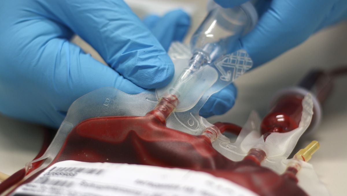 Universal Donor Blood Is A Step Closer Thanks To Enzyme Discovery ...