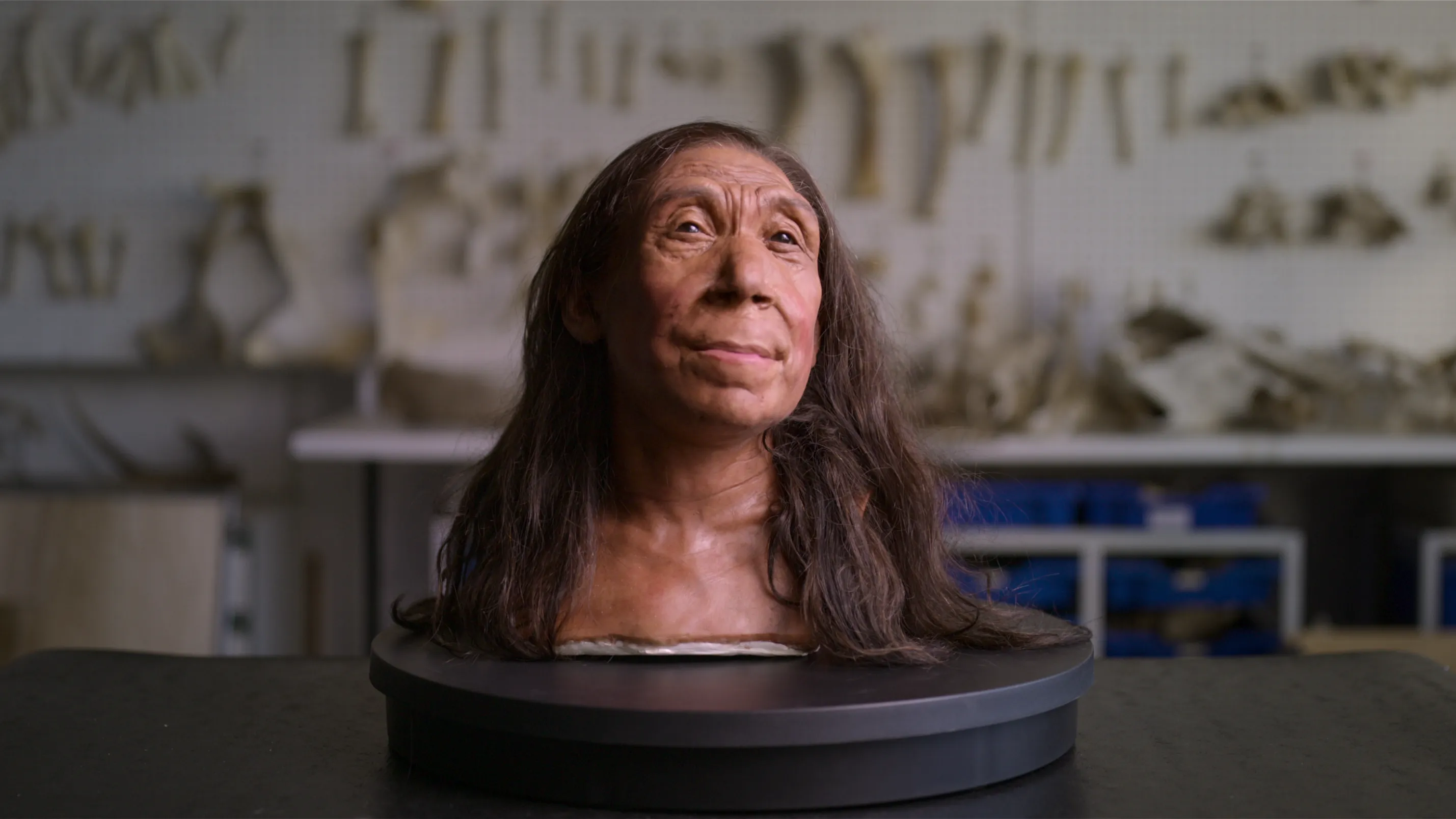 Neanderthal Skeleton Found