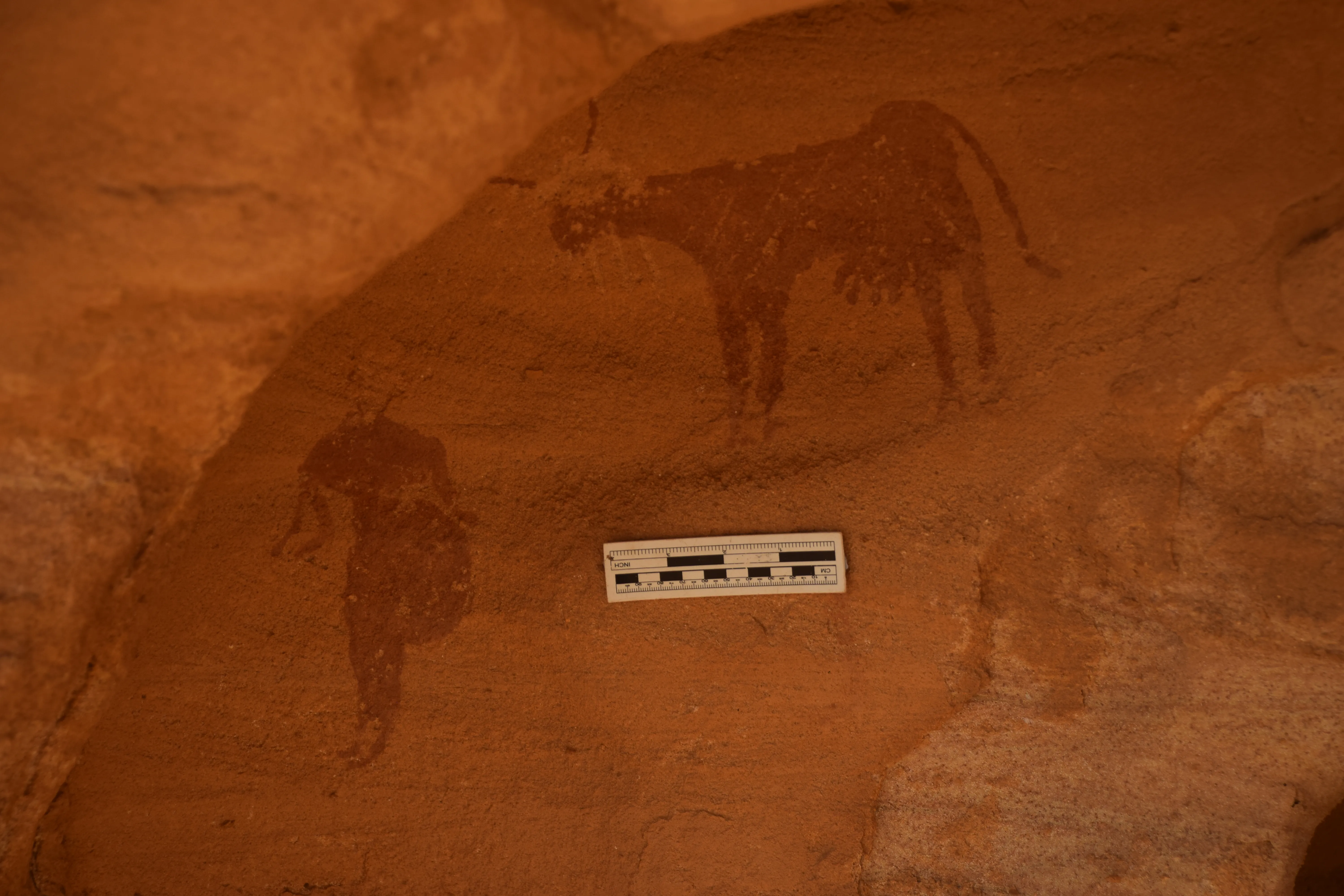 Ancient Rock Cave Drawings Rock Art Found In This Saudi Arabian Cave