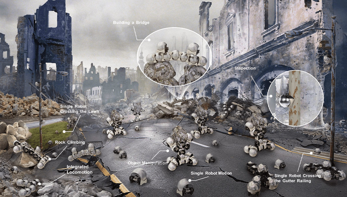 Snail Robots Inspired By The Real Thing Can Traverse, Climb, And Work ...