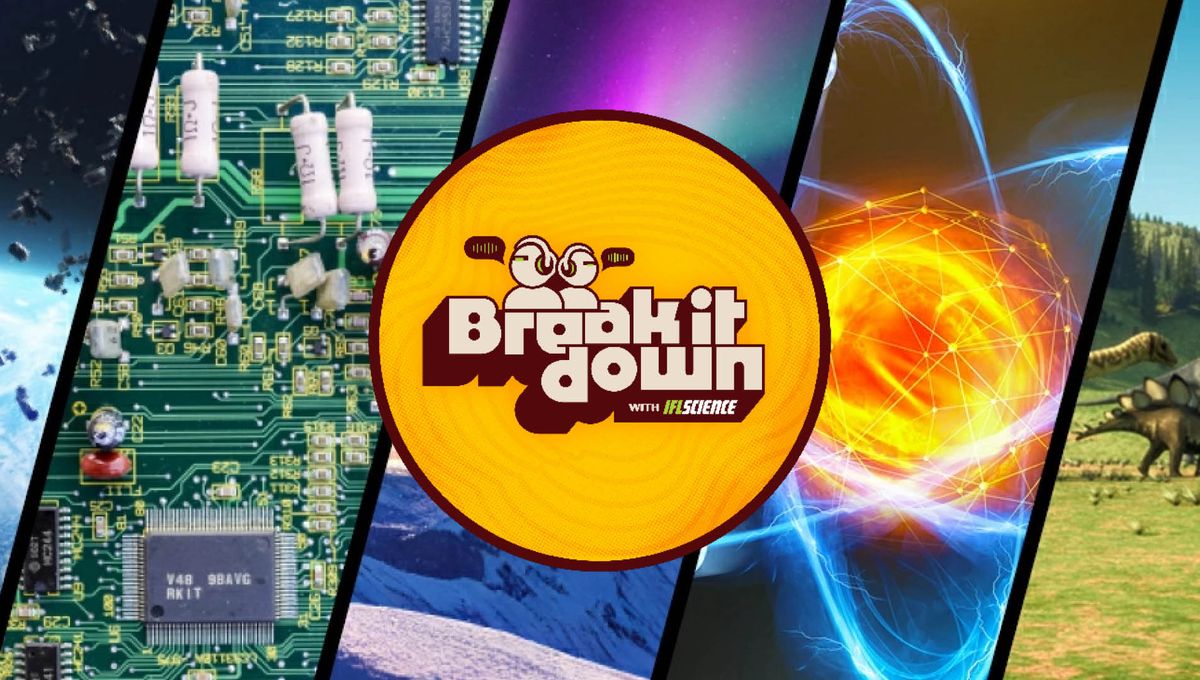 Break It Down - The Biggest Science News Of 2024 So Far | IFLScience