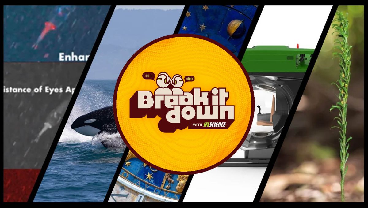 Colossal Squid, A Titanic Trip, And Debunking Star Signs | IFLScience